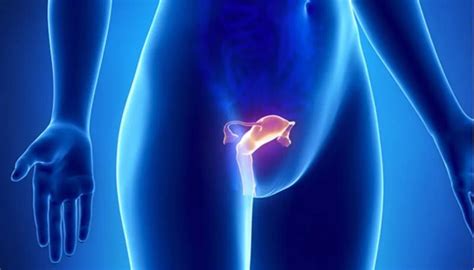 Ultrasound Derived Fibroid Mapping Technology Gets Fda Nod Denise Barbato R D M S