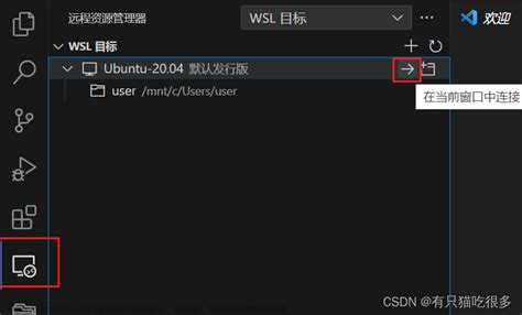 适用于linux的windows子系统（在vscode中开发linux项目） Toy模板网