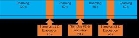 Procedure Of Simulation Phase Download Scientific Diagram