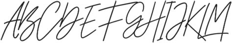 Otentic Signature Otf Font Script Elegant What Font Is