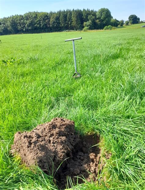 Early To Mid Season Chemical And Organic Nutrient Application Homeland Ie