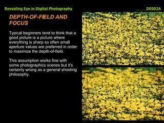 Lesson 1b Depth Of Field PPT