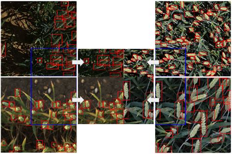 Mosaic Augmentation For Object Detection · Issue 21 · Keras Teamkeras