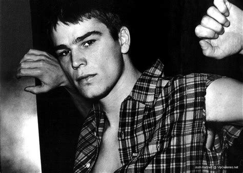 VipGalleries Net Josh Hartnett FreeMaleCelebrityArchive Com