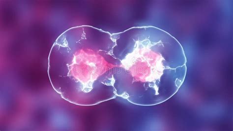 Cell Dividing Microbiology D Animation Stock Video Video Of Clone Growth