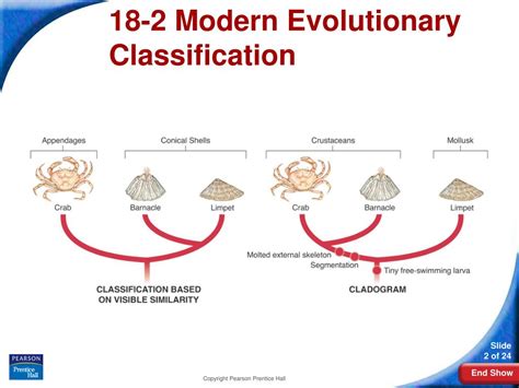 Ppt Biology Powerpoint Presentation Free Download Id206001