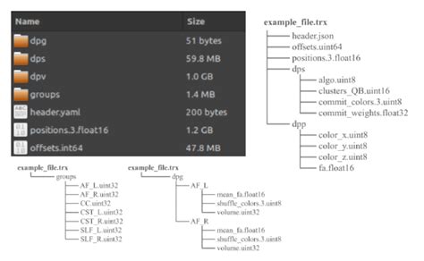 File Structure Of The Trx File Format A Filename Convention Conveys