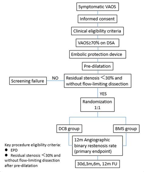 Randomization Flowchart Download Scientific Diagram