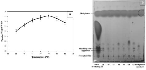 Effect Of Temperature On The Product Yield Of Biodiesel At The Optimal