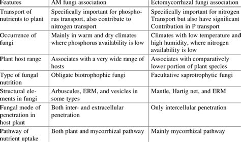 Comparison Between Am And Ecm Associations Modified After Bücking Et