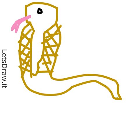 How To Draw Cobra Mr7ee35fd Png LetsDrawIt