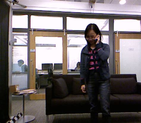 Pose Conditioned Spatio Temporal Attention For Human Action Recognition INSA Lyon