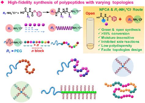 A General Strategy Toward Synthesis Of Well Defined Polypeptides With Complex Chain Topologies