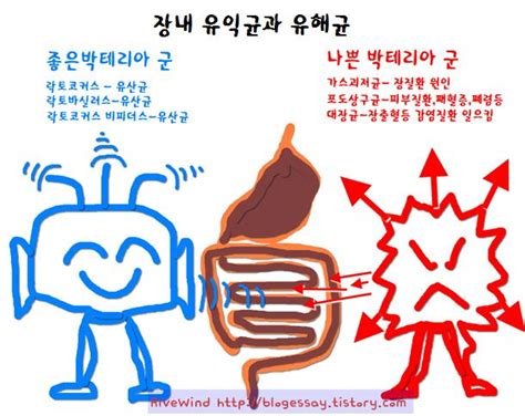우리의 장 안에 살고있는 좋은 박테리아와 나쁜 박테리아 우리의 몸속에 사는 세균의 총 무게는 놀랍게도 무려 2kg이나 되며