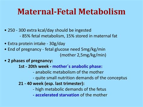 Physiology Of Pregnancy Ppt Download