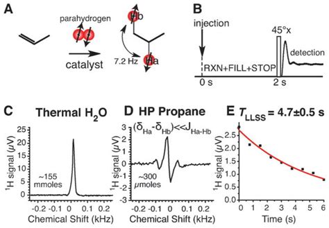 Long Lived Spin States For Low Field Hyperpolarized Gas Mri Abstract Europe Pmc