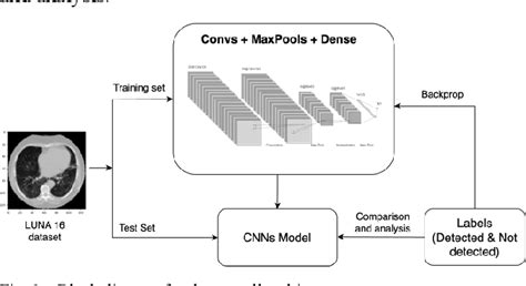Figure 1 From Exploring 3d Convolutional Neural Networks For Enhanced Detection In Lung Cancer