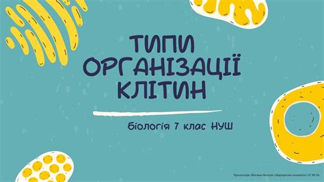 Біологія 7 клас НУШ Типи організації клітин Youtube