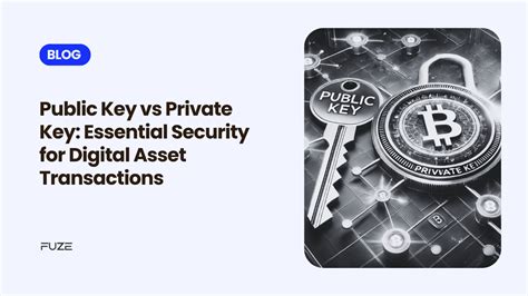 Public Key Vs Private Key Essential Security For Digital Asset