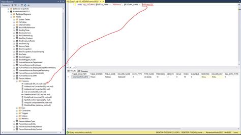 Stored Procedures Sql Server Spcolumn Not Considering Columnname