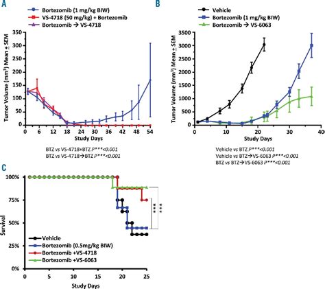 Figure 2 From Pyk2 Fak Inhibitors Reverse Hypoxia Induced Drug