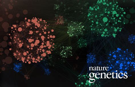 High Throughput Genotyping