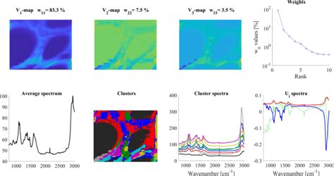 Svd Clustering A General Image Analyzing Method Explained And Demonstrated On Model And Raman