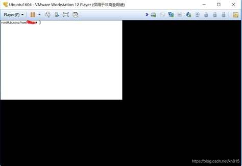 将开发板上的图形界面程序在电脑上显示怎么样让开发板上的应用程序通过x111像codeblock显示在ssh端上 Csdn博客