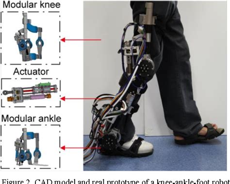 Figure 2 From Gait Event Based Human Robot Synchrony For Gait Rehabilitation Using Adaptive