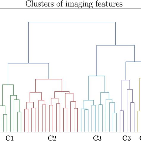 dendrogram based on hierarchical clustering on the spearman rank‐order