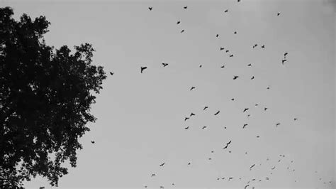 آهنگ اوپنینگ دوم انیمه به کلاس نخبگان خوش آمدید Dance In The Game