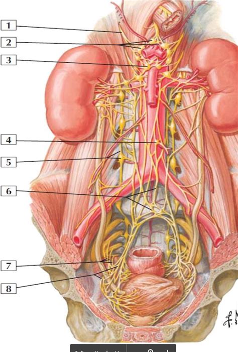 Pracitcal 9 Diagram Quizlet