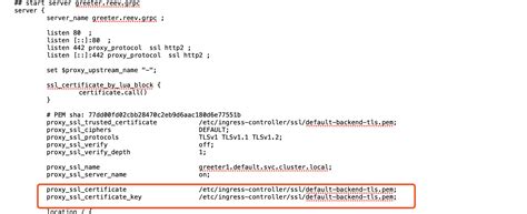 Mtls Is Not Working With Nginx Backend Certificate Authentication