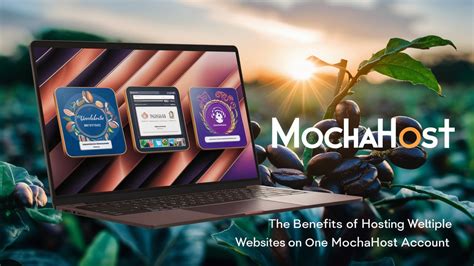The Benefits Of Hosting Multiple Websites On One Mochahost Account
