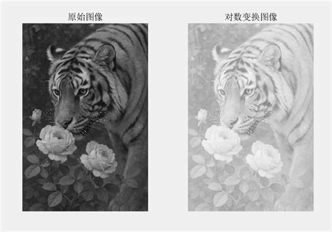 图像处理入门（一）：一些常用的灰度变换函数 常见灰度变换函数有那些 csdn博客