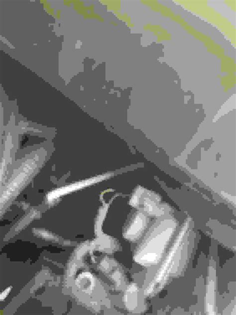 Wire Chewed Up By Rodent Community Forums