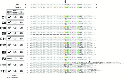 Deep Sequencing Analysis Of Trim5 Editing In 10 Screened Clones The Download Scientific