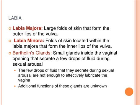 Ppt Sexual Anatomy Powerpoint Presentation Free Download Id1157620