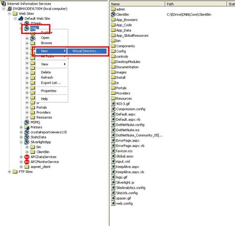 Smart Programming In Net Silverlight Integration In Dnn