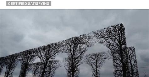 Certified Satisfying Album On Imgur