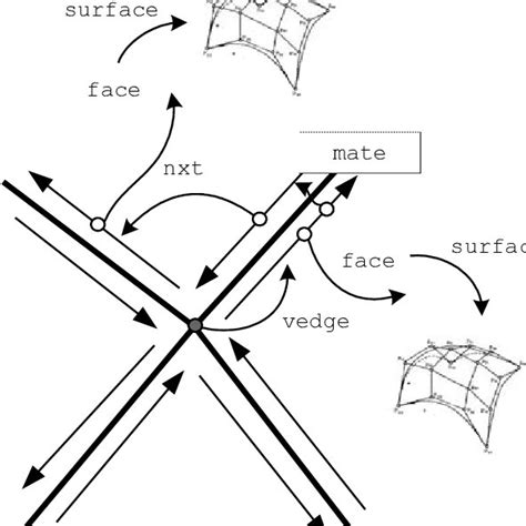 Example Of C Adjacency Relationship Download Scientific Diagram