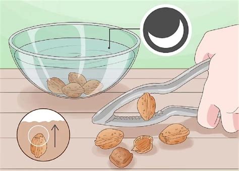 کاشت بادام درختی با بذر یا نهال شرایط پرورش، نگهداری و برداشت