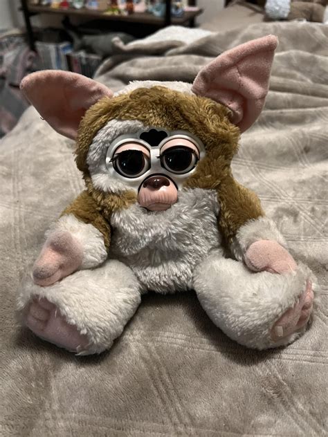 my gizmo is here and he works just got clean him up