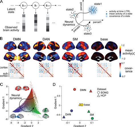large scale neural dynamics in a shared low dimensional state space