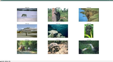 케라스keras의 Getfile 함수 Gis Developer