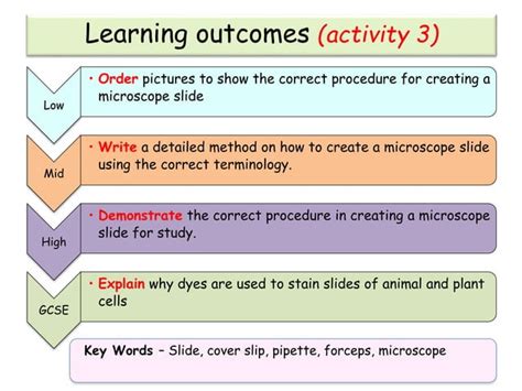 Igcse Year 7 Biology Using Microscopes Ppt Photography Arts And Crafts