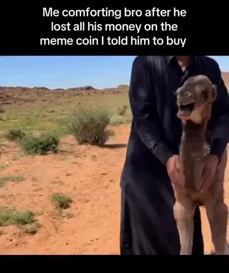 Memes Bro