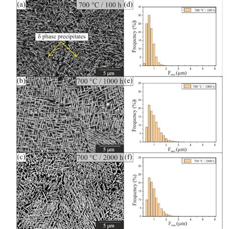 Inconel 625 Lpbf Microstructure Observed In Sem Se Mode After Annealing