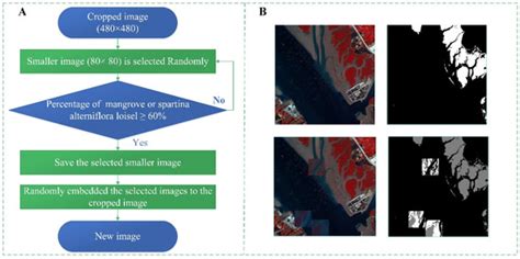 swin upernet a semantic segmentation model for mangroves and spartina