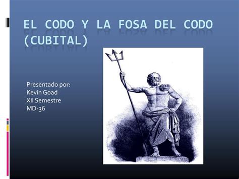 PPT Presentado Por Kevin Goad XII Semestre MD PowerPoint
